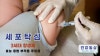 세포탁심 주사 1g 항생제 효능 용법 부작용 효과 뇌수막염 임질 폐렴 네이버 블로그